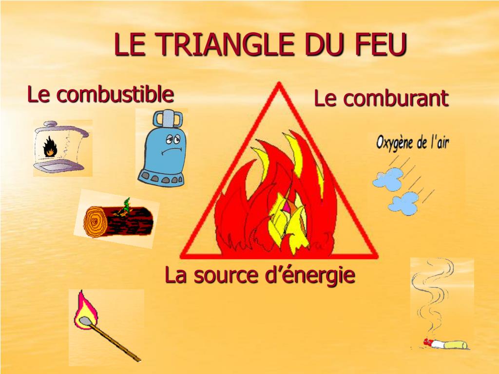 PPT - Aujourd’hui tu vas utiliser l’ordinateur pour apprendre à gérer ...