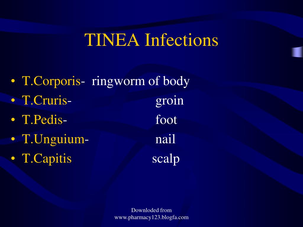 PPT - Management of Common Fungal & Bacterial Skin Infections ...