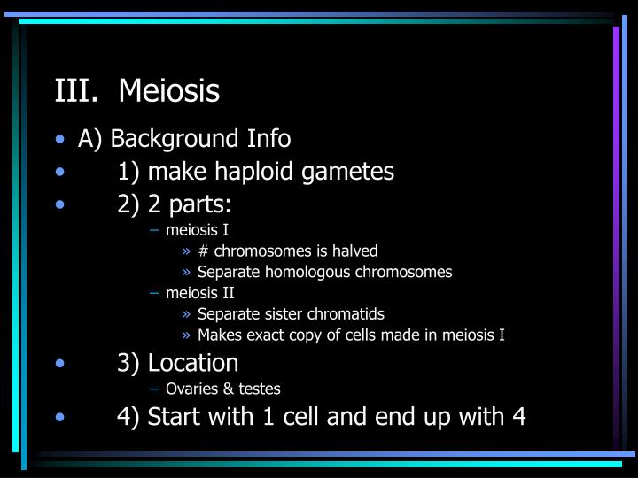 PPT - Warm Up: Mitosis / Meiosis PowerPoint Presentation - ID:1077892