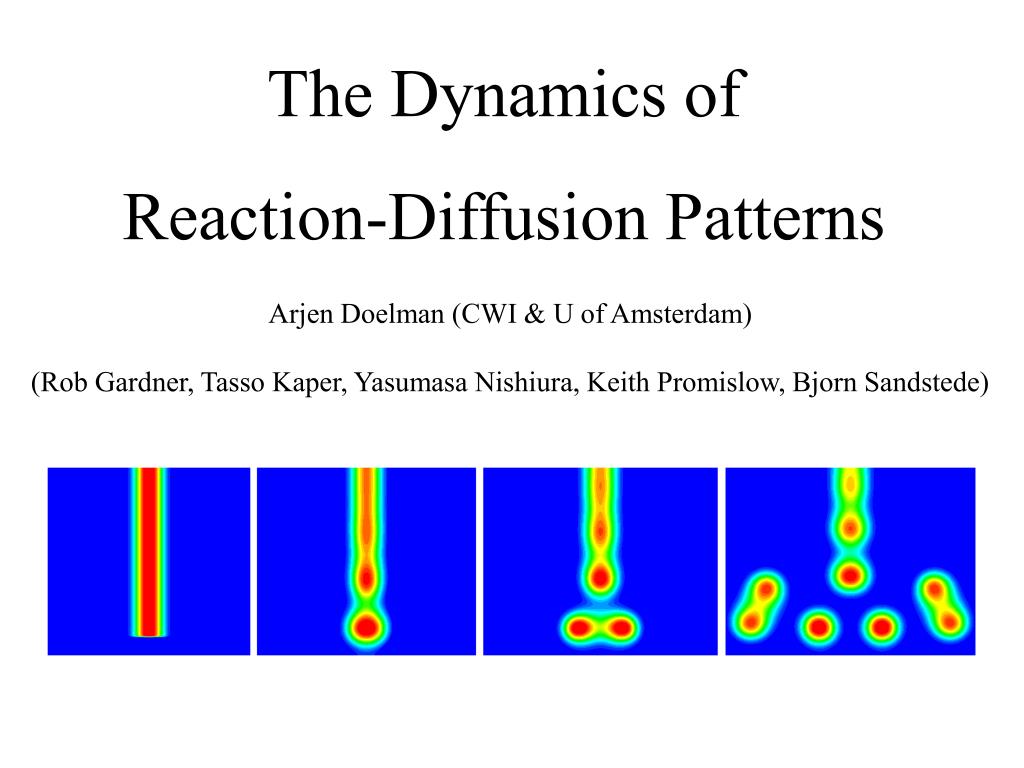 PPT - The Dynamics of Reaction-Diffusion Patterns PowerPoint ... PPT - The Dynamics of Reaction-Diffusion Patterns PowerPoint ...
