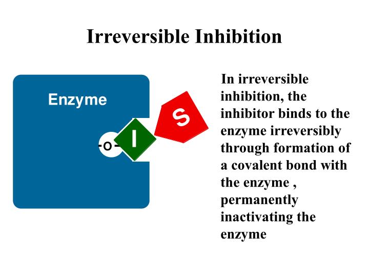 PPT - Enzyme Kinetics - Inhibition PowerPoint Presentation - ID:1079722