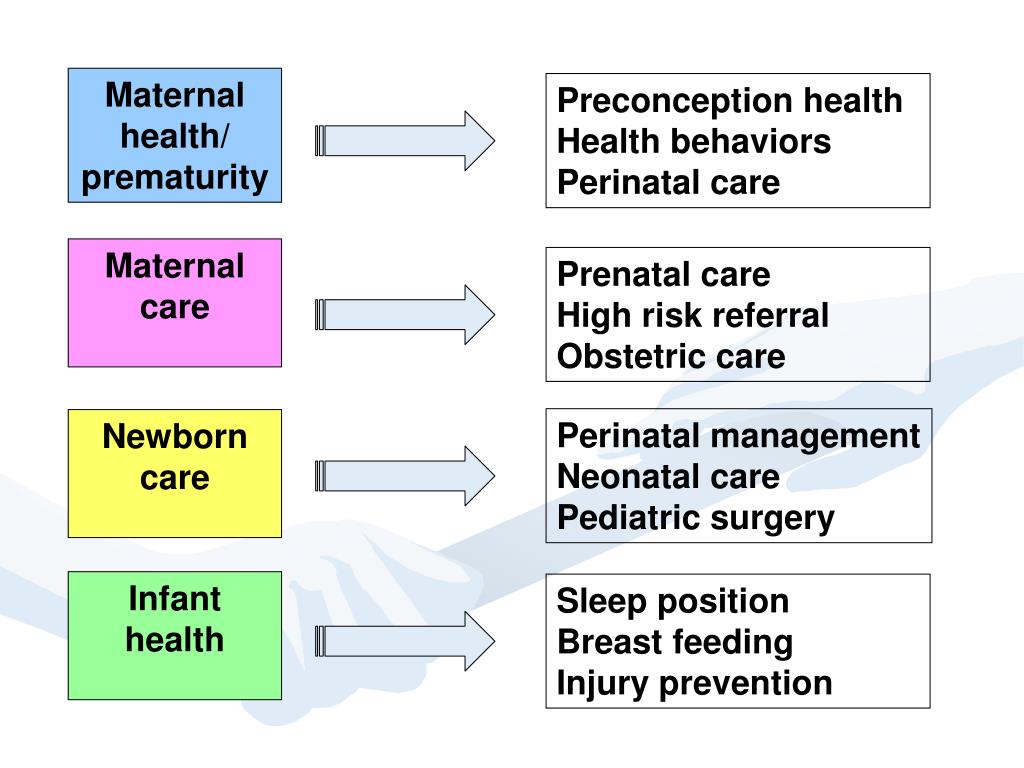 PPT - Creating Community Involvement to Conduct a Perinatal Periods of ...