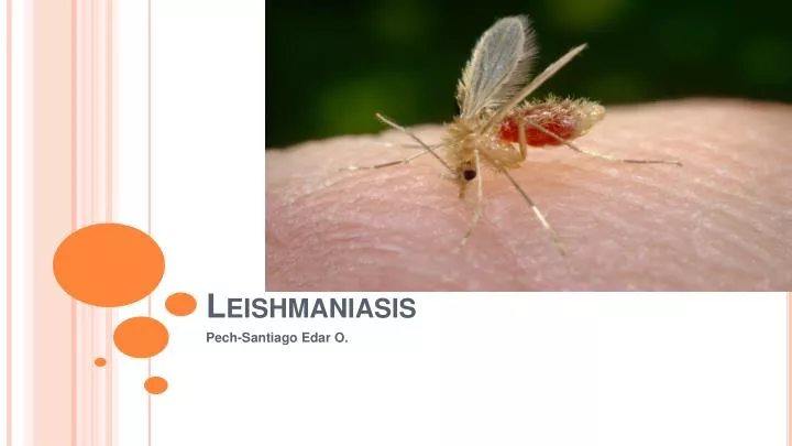 PPT - Leishmaniasis PowerPoint Presentation, free download - ID:1081188