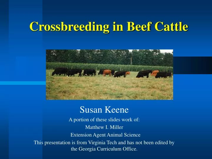 PPT - Crossbreeding in Beef Cattle PowerPoint Presentation, free ...