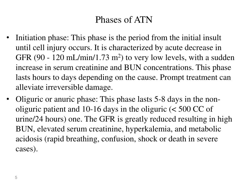 PPT - Acute Tubular Necrosis (ATN) PowerPoint Presentation, free ... PPT - Acute Tubular Necrosis (ATN) PowerPoint Presentation, free ...