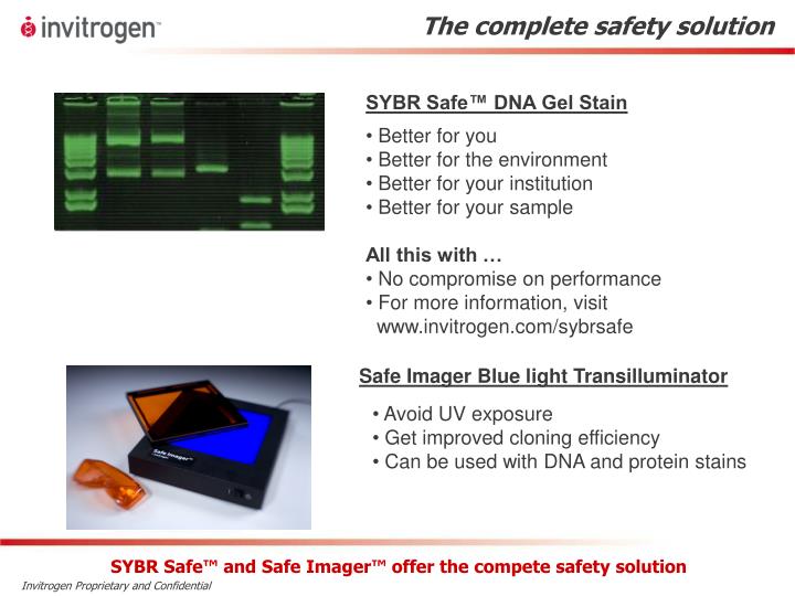 PPT - SYBR Safe versus ethidium bromide PowerPoint Presentation - ID ...