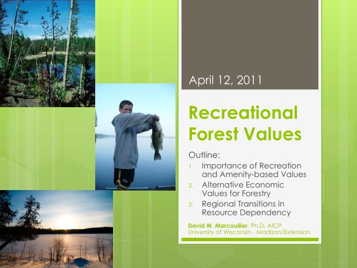 PPT - Recreational Forest Values PowerPoint Presentation, free download ...