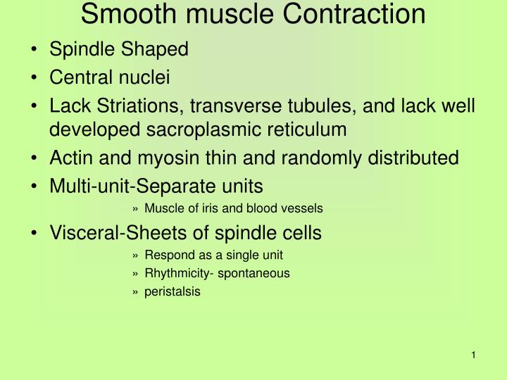 PPT - Smooth muscle Contraction PowerPoint Presentation, free download ...