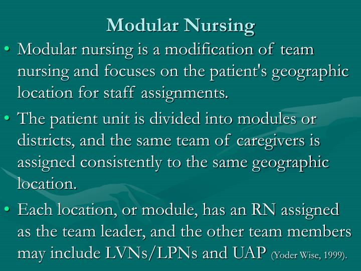 PPT - STAFFING AND NURSING CARE DELIVERY MODELS PowerPoint Presentation ...