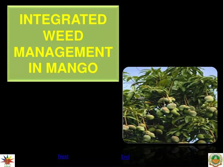 PPT - INTEGRATED WEED MANAGEMENT IN MANGO PowerPoint Presentation, free ...