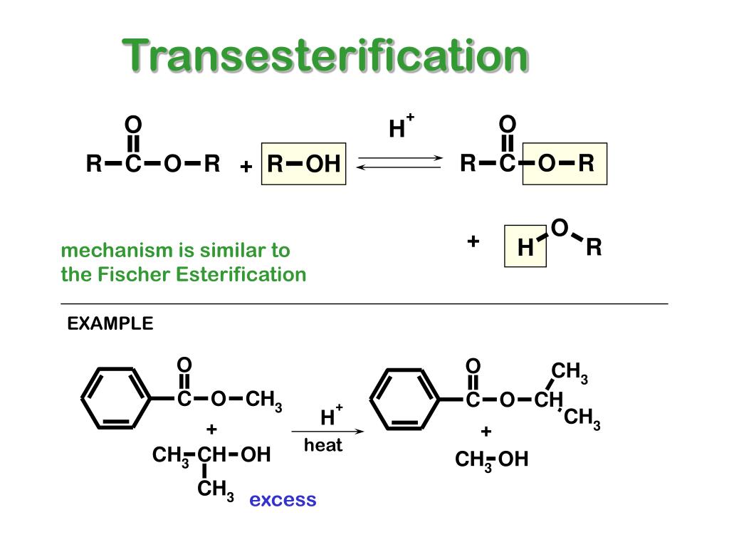 PPT - Carboxylic Acid Derivatives: Nucleophilic Acyl Substitution ...