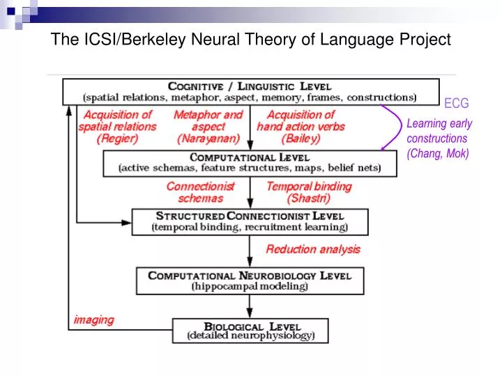 PPT - The ICSI/Berkeley Neural Theory of Language Project PowerPoint ...
