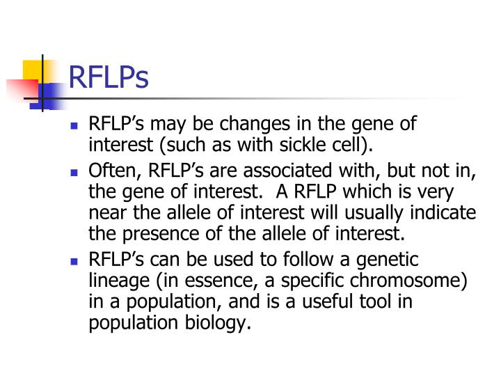 PPT - RFLP DNA molecular testing and DNA Typing PowerPoint Presentation ...