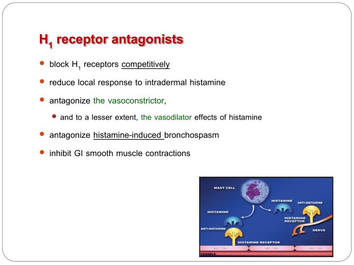 PPT - Antihistamines PowerPoint Presentation - ID:1089057