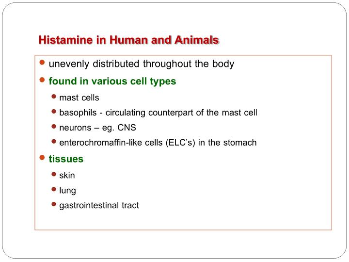 PPT - Antihistamines PowerPoint Presentation - ID:1089057