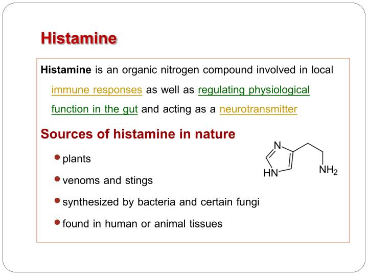 PPT - Antihistamines PowerPoint Presentation - ID:1089057