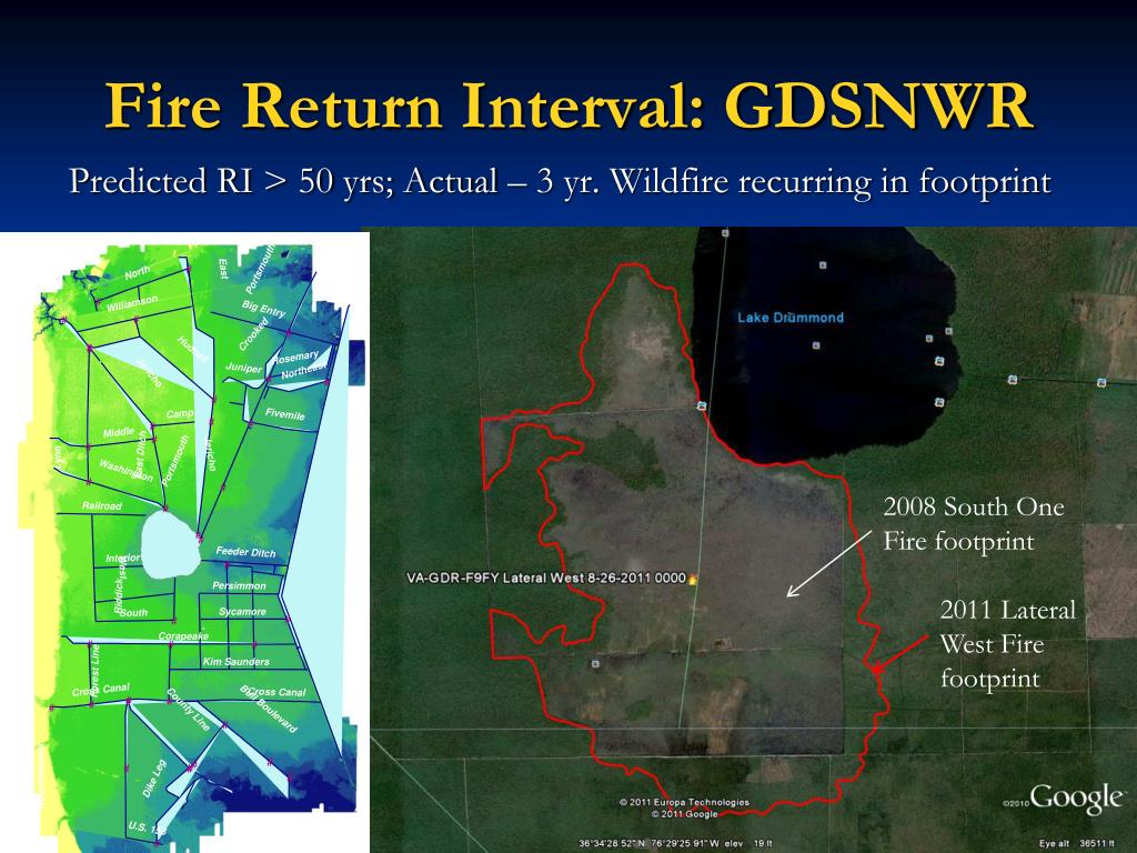 PPT - Sara Ward, USFWS Raleigh Field Office TNC Fire and Pocosins ...
