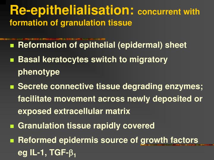 PPT - Wound Healing Dr Bill Revell PowerPoint Presentation - ID:1089318