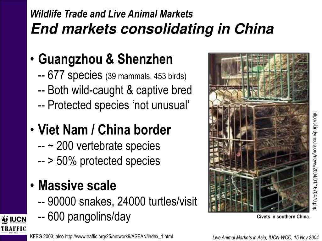 PPT - Wildlife Trade and Live Animal Markets A regional perspective ...