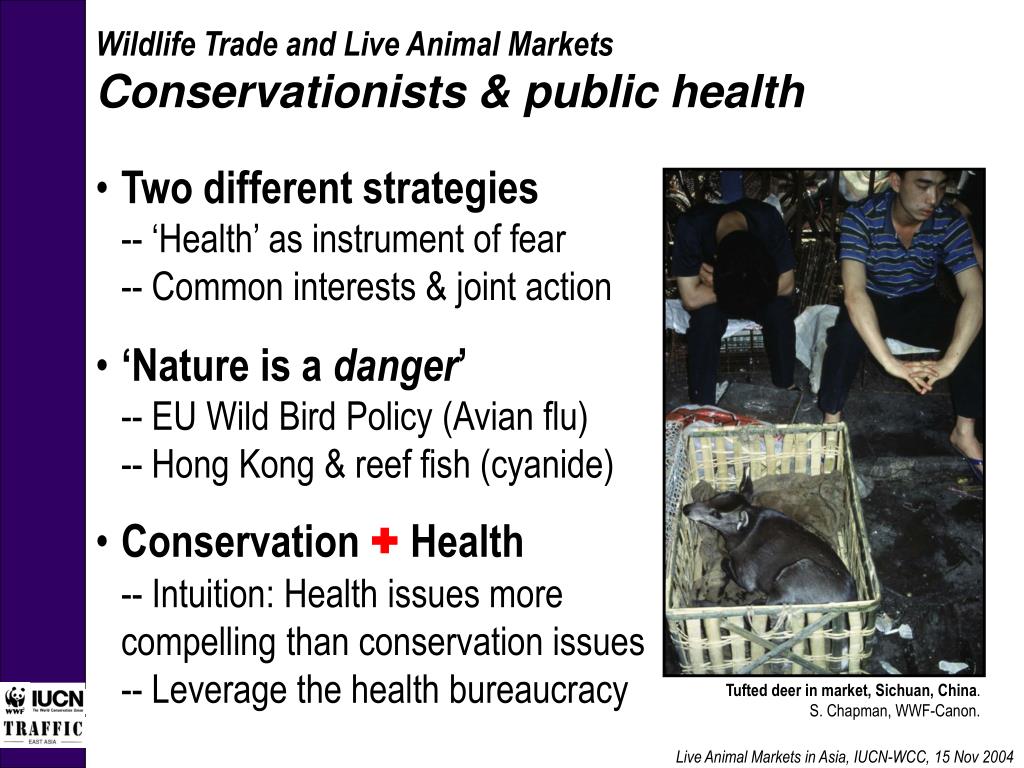 PPT - Wildlife Trade and Live Animal Markets A regional perspective ...