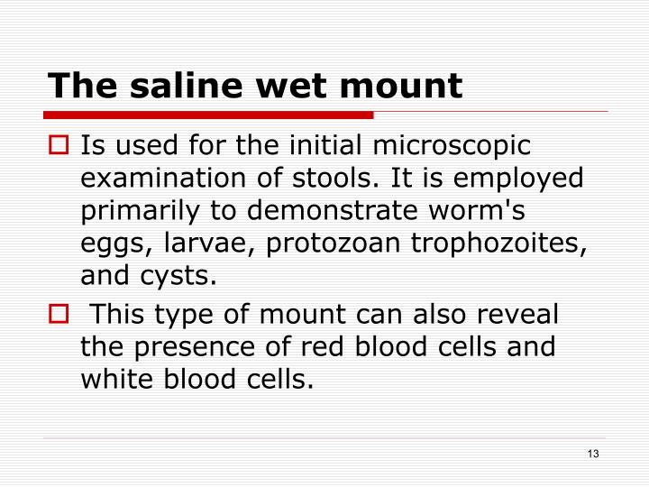 PPT - Preparation of direct wet mount PowerPoint Presentation - ID:1089497