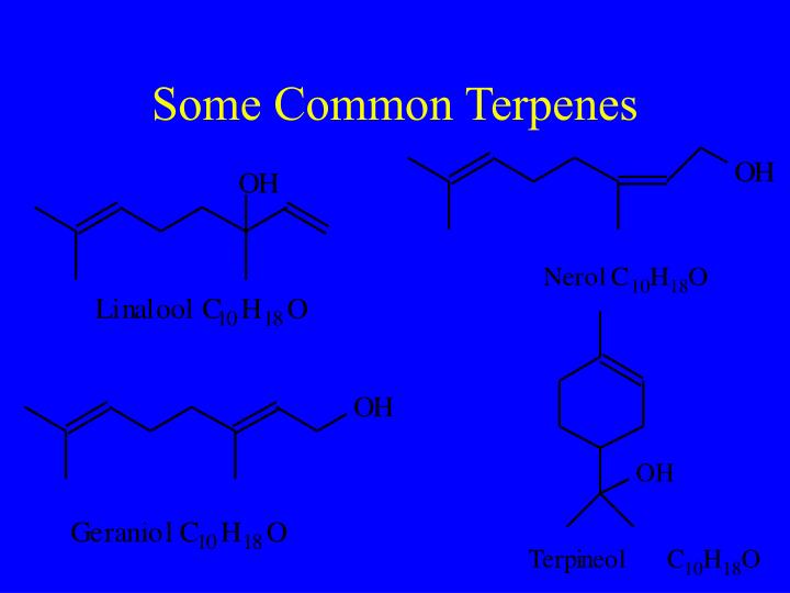 PPT - Terpenes: The Isoprene Rule PowerPoint Presentation - ID:1089662
