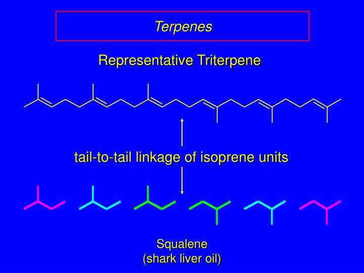 PPT - Terpenes: The Isoprene Rule PowerPoint Presentation - ID:1089662