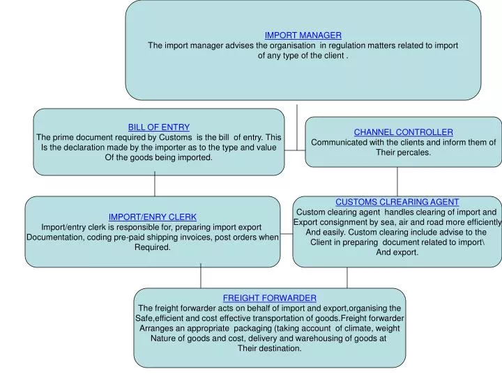 PPT - IMPORT MANAGER The import manager advises the organisation in ...