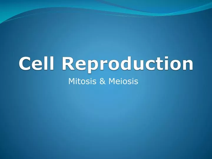 PPT - Cell Reproduction PowerPoint Presentation, free download - ID:1089830