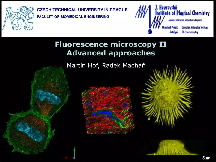 PPT - Fluorescence microscopy II Advanced approaches PowerPoint ...