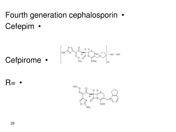 PPT - ANTIBIOTICS PowerPoint Presentation - ID:1090699