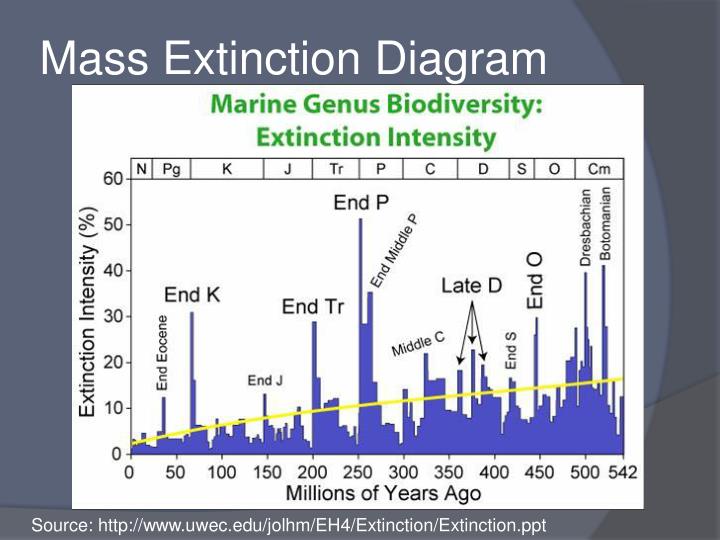 PPT - Extinctions: The End of Biodiversity PowerPoint Presentation - ID ...