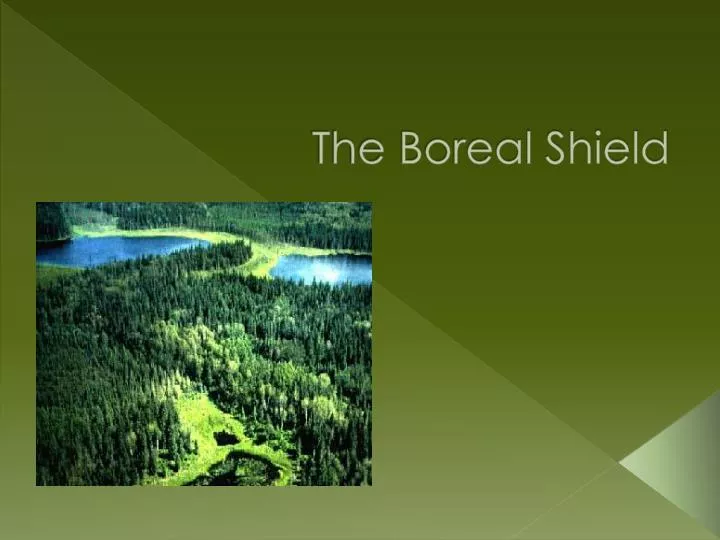 PPT - The Boreal Shield PowerPoint Presentation, free download - ID:1092082