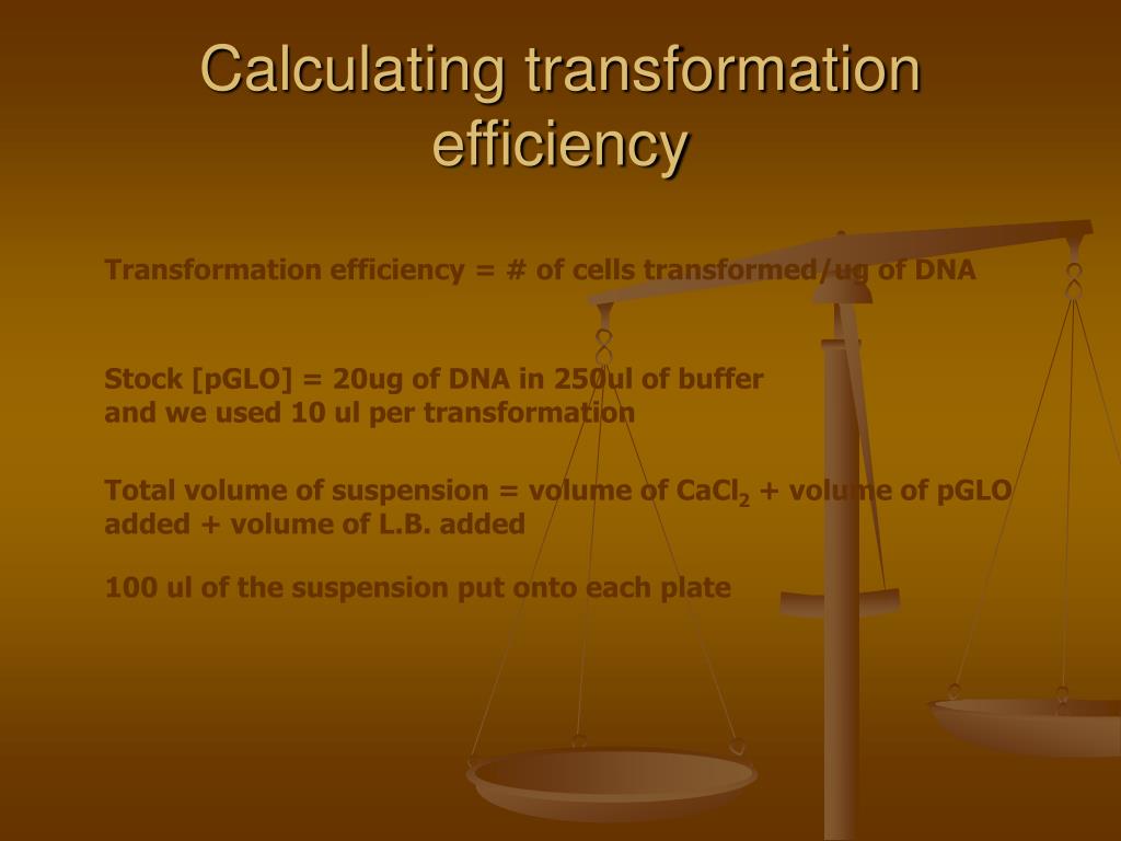 PPT - Transformation Procedure Summary Incorporation of Foreign DNA ...