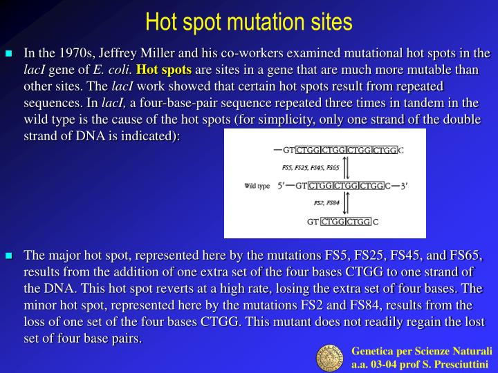 PPT - Mechanisms of Spontaneous Mutation PowerPoint Presentation - ID ...