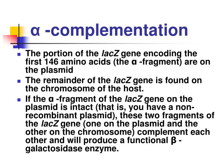 PPT - Principles of cloning, vectors and cloning strategies PowerPoint ...