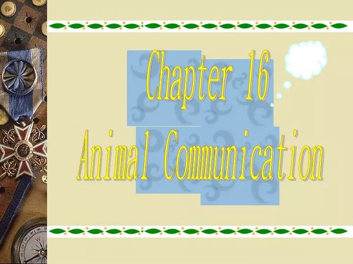 PPT - Chapter 16 Animal Communication PowerPoint Presentation, free ...