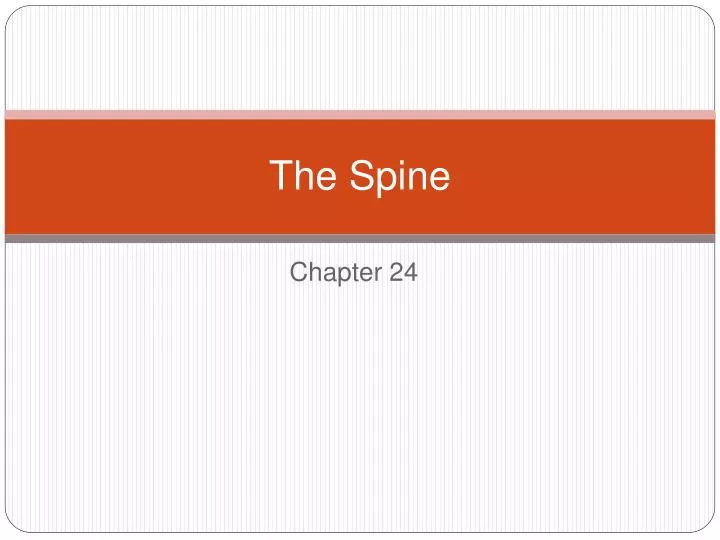 PPT - The Spine PowerPoint Presentation, free download - ID:1093690