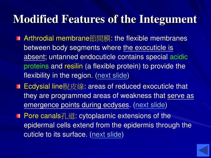 PPT - Insect Physiology - Integument Systems PowerPoint Presentation ...