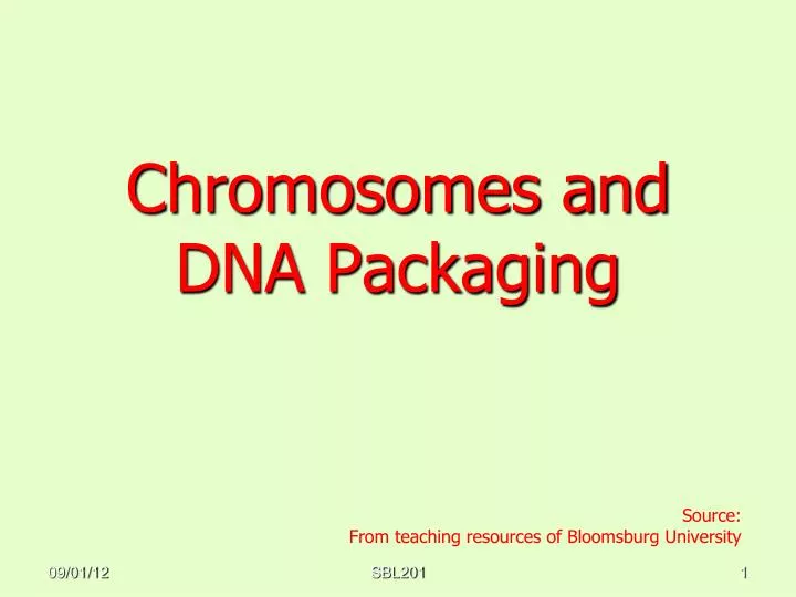 PPT - Chromosomes and DNA Packaging PowerPoint Presentation, free download - ID:1097280