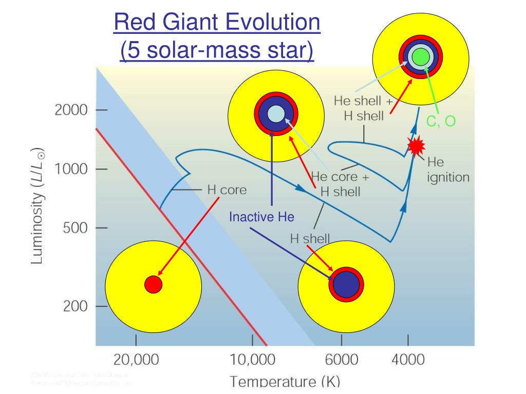 PPT - Stellar Evolution PowerPoint Presentation, free download - ID:1097575 PPT - Stellar Evolution PowerPoint Presentation, free download - ID:1097575