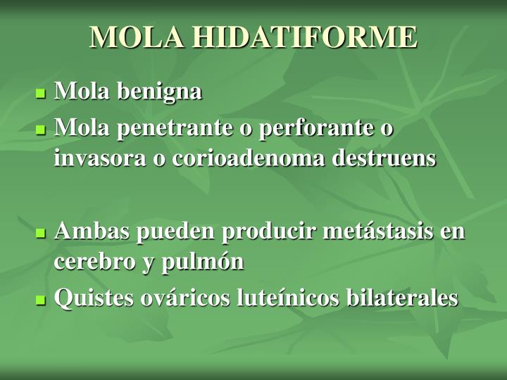 PPT - HEMORRAGIAS DE LA PRIMERA MITAD DEL EMBARAZO PowerPoint ...