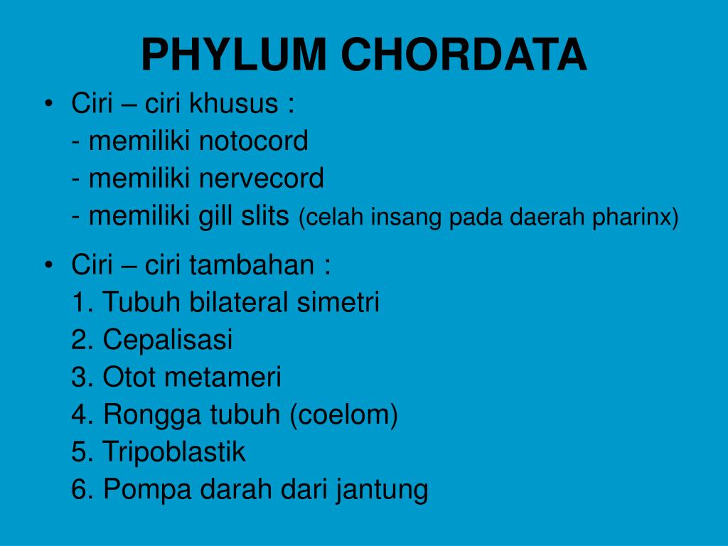 PPT - ANATOMI PERBANDINGAN HEWAN VERTEBRATA PowerPoint Presentation ...