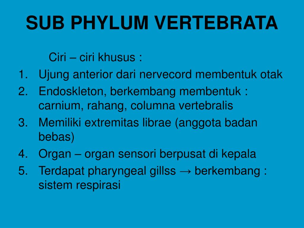 PPT - ANATOMI PERBANDINGAN HEWAN VERTEBRATA PowerPoint Presentation ...