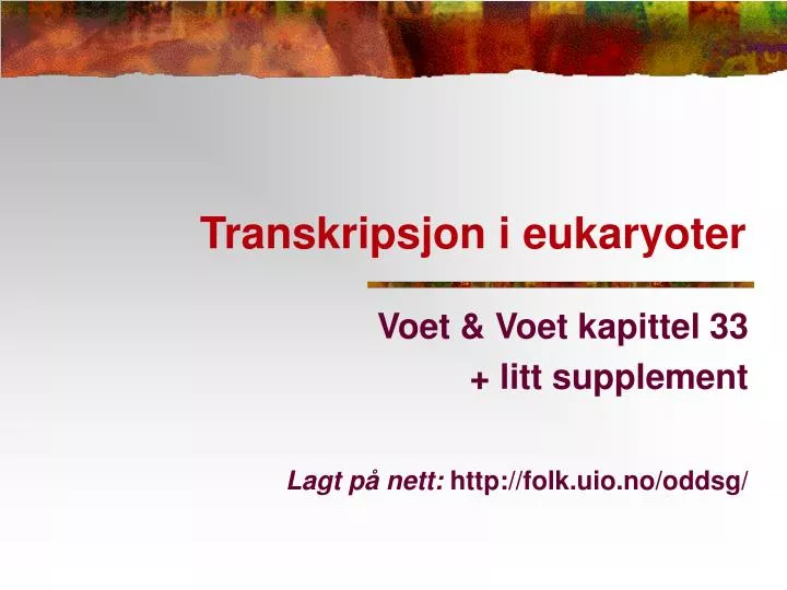 PPT - Transkripsjon i eukaryoter PowerPoint Presentation, free download ...