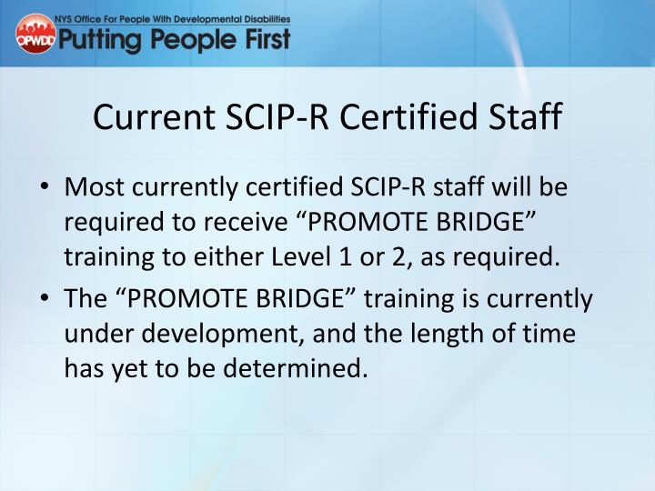 PPT - Presented by: Jill Pettinger OPWDD Assistant Deputy Commissioner ...