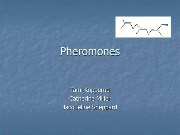 PPT - Pheromones PowerPoint Presentation, free download - ID:1100045