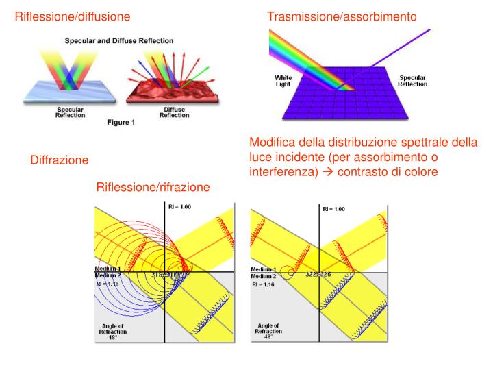 PPT - Lenti per la luce PowerPoint Presentation - ID:1100275