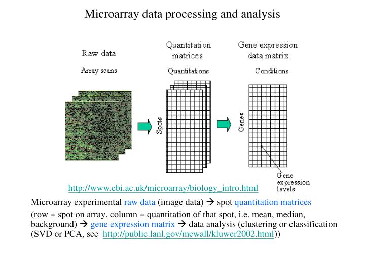 PPT - Microarray - Introduction PowerPoint Presentation - ID:1100698