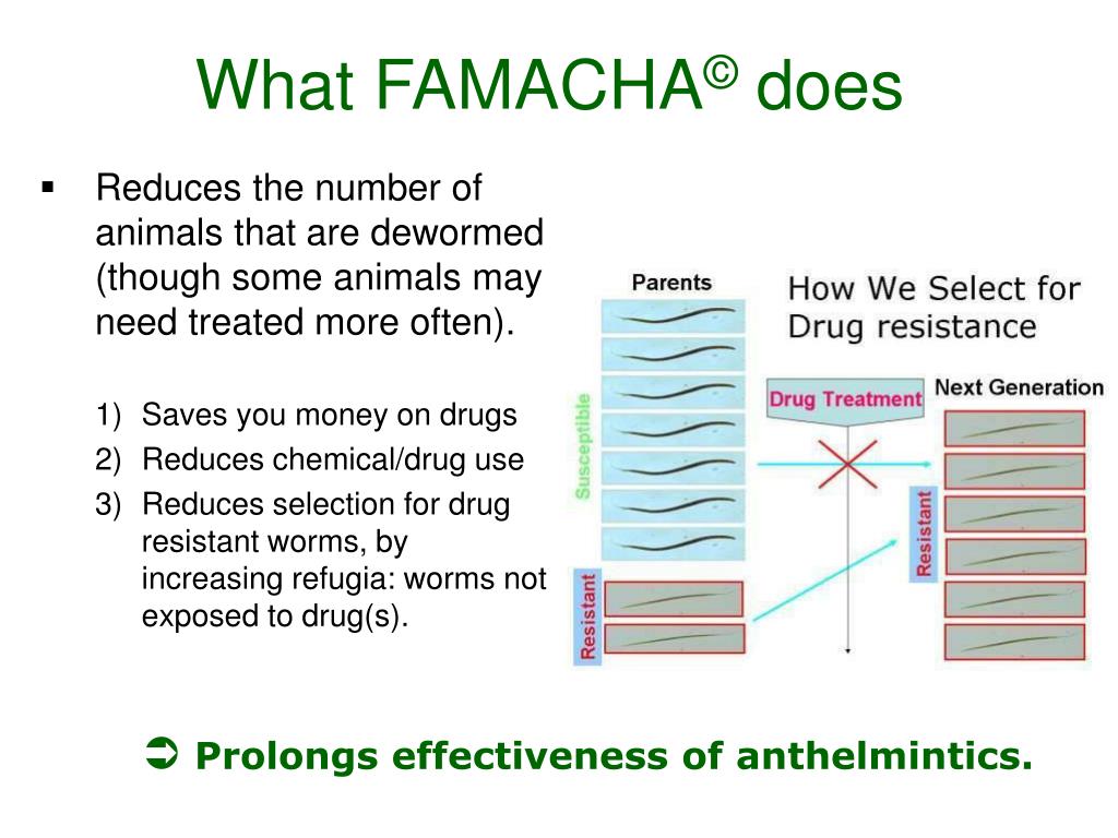PPT - This presentation was originally given at the Annual Meeting of ...